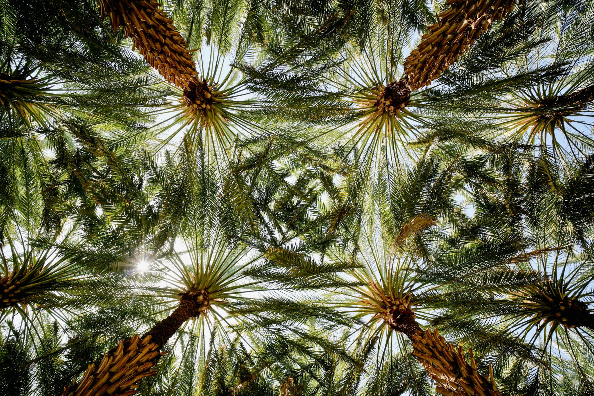 Beachfront Accommodation | Taipa Beach Resort - Taipa Beach Resort