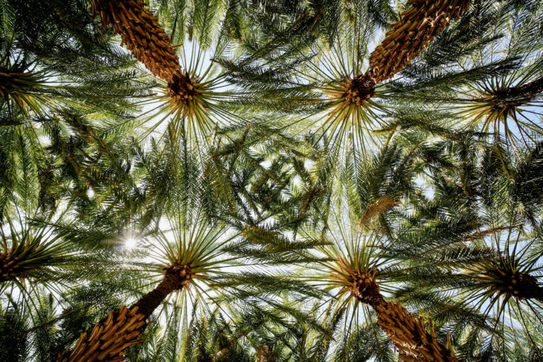 Beachfront Accommodation | Taipa Beach Resort - Taipa Beach Resort